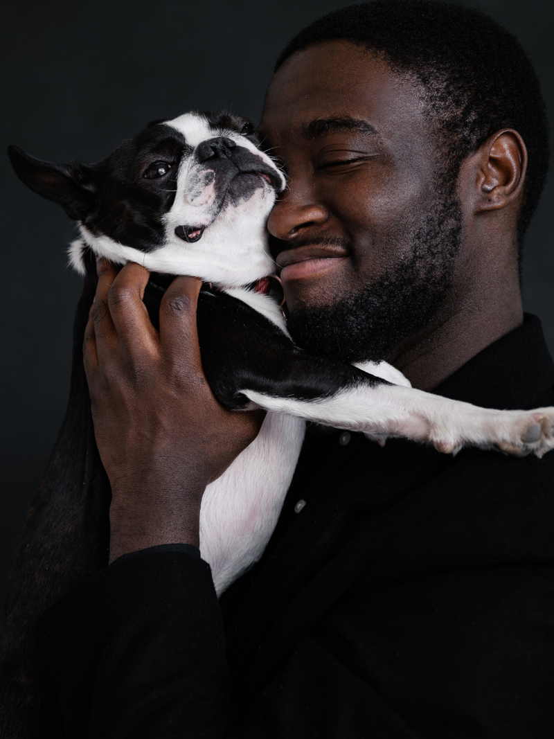 Rayne Canada | Whole Food Ingredients, Less-Processed Pet Food