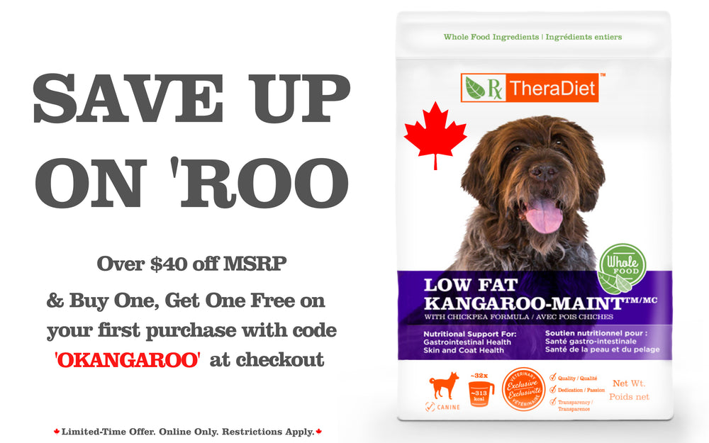 Rayne Canada | Whole Food Ingredients, Less-Processed Pet Food