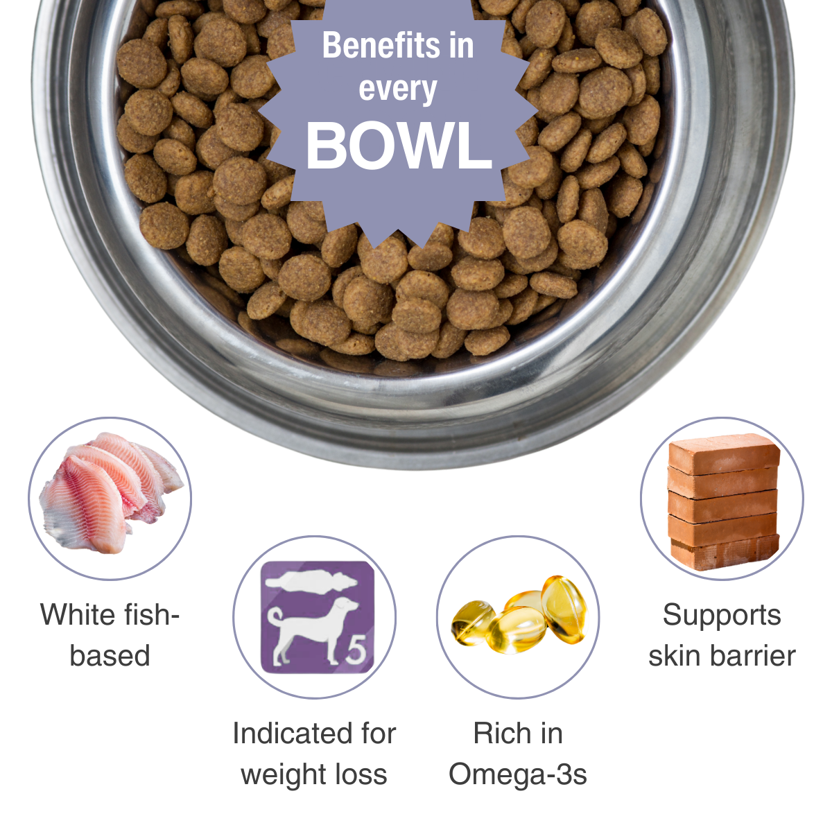 Skin Relief Dry Dog Food - Rayne Canada