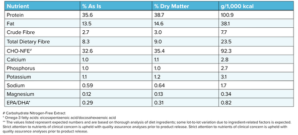 Rabbit-MAINT for Cats | Whole Food Diet for Allergies - Rayne Canada